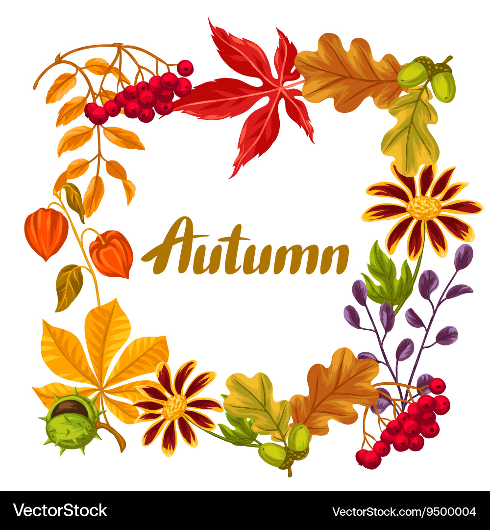 Frame with autumn leaves and plants design Vector Image