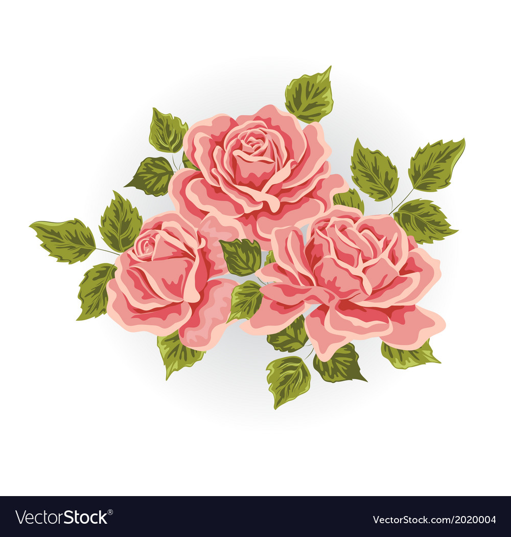 Roses Royalty Free Vector Image - VectorStock