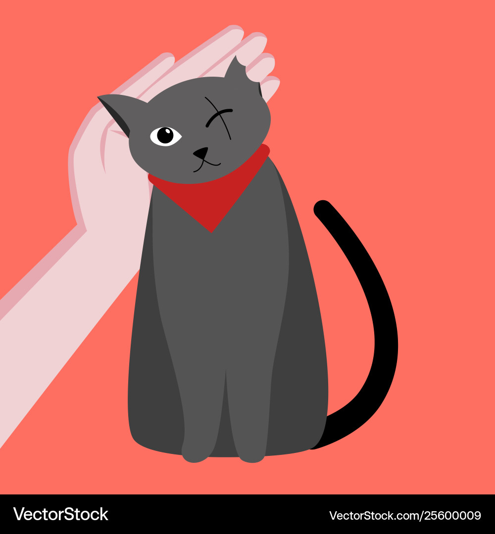 One-eyed cute cat is disabled caring Royalty Free Vector