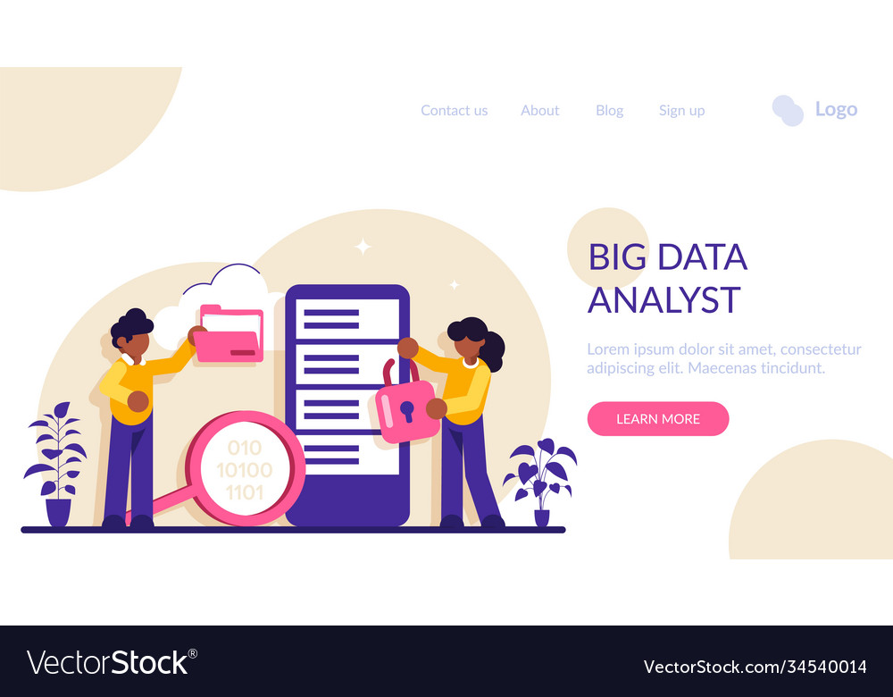Data analytics manage database developer Vector Image