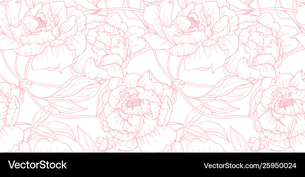 Seamless pattern hand drawn outline pink peony Vector Image