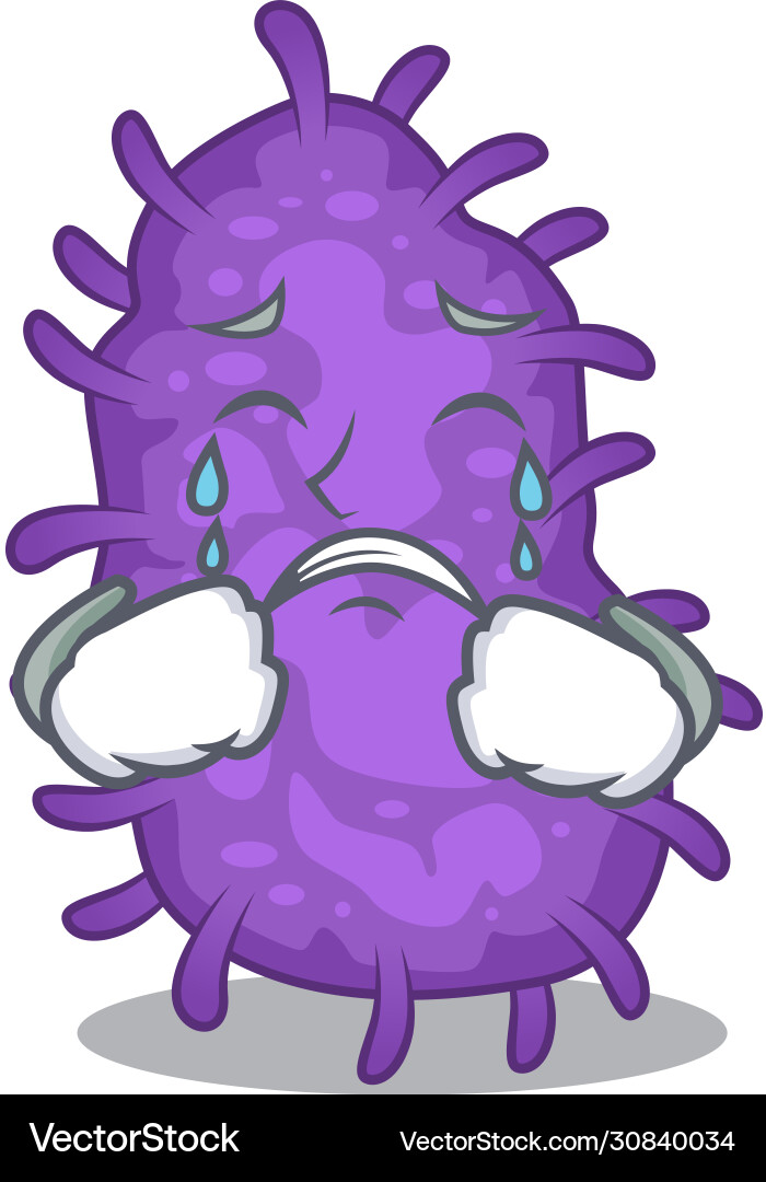 Cartoon character design bacteria bacilli Vector Image
