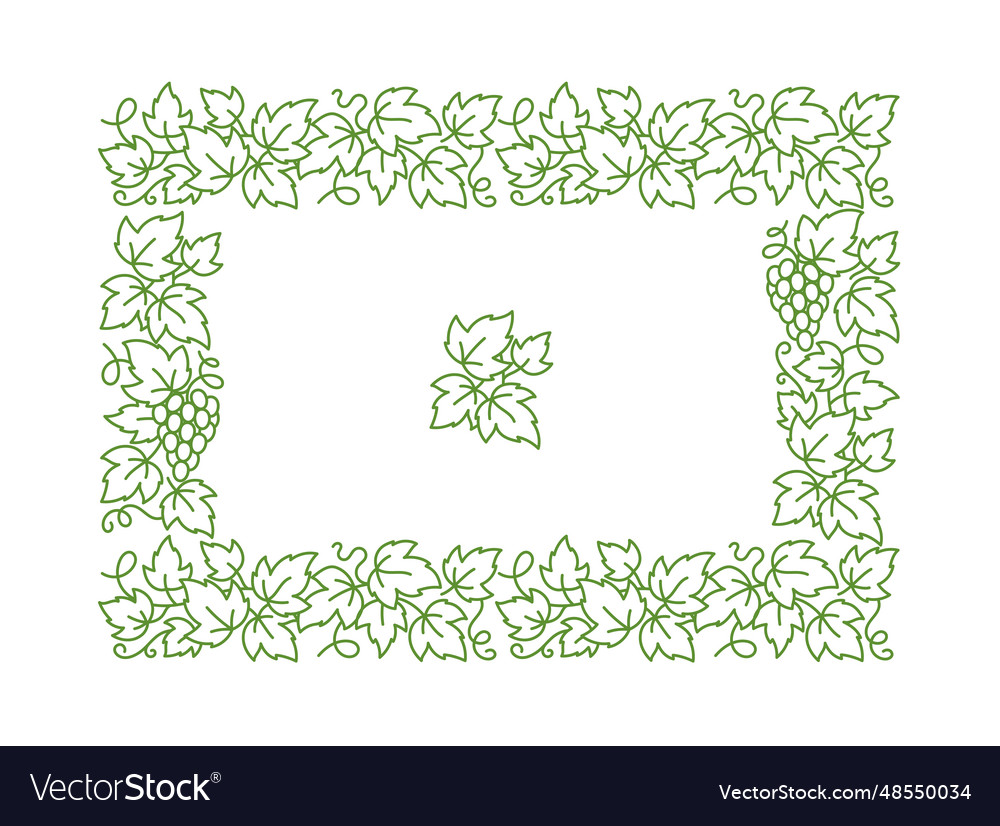 Grape vine rectangular frame leaves Royalty Free Vector