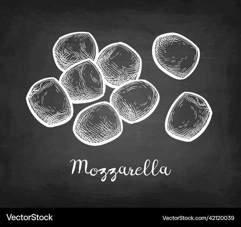 Chalk sketch of mozzarella cheese Royalty Free Vector Image