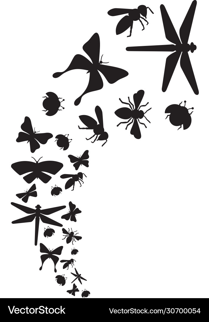 Flying insects -dragonfly bee butterfly ladybug Vector Image