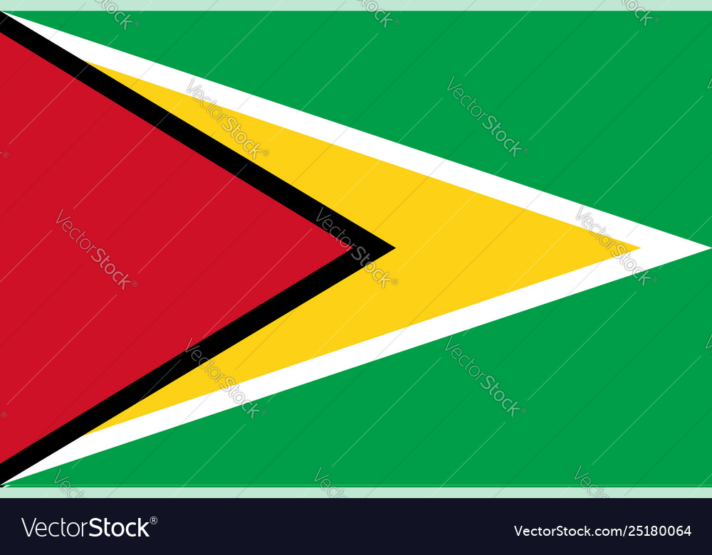 Flag rectangular shape Royalty Free Vector Image