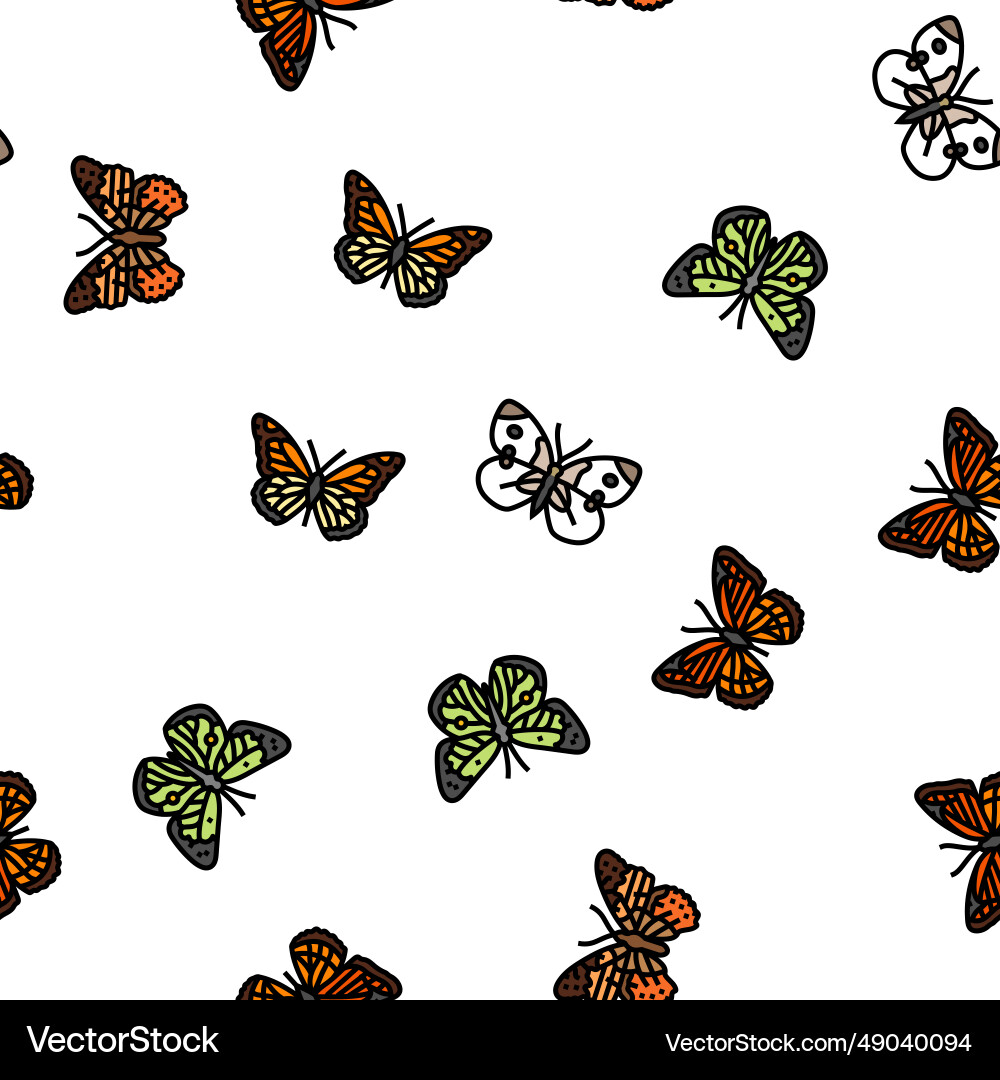 Butterfly summer spring insect seamless Royalty Free Vector