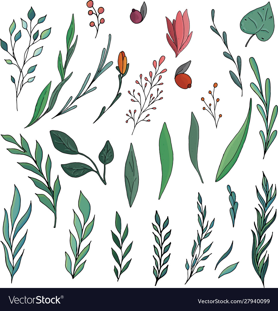 Leaves Set Royalty Free Vector Image Vectorstock