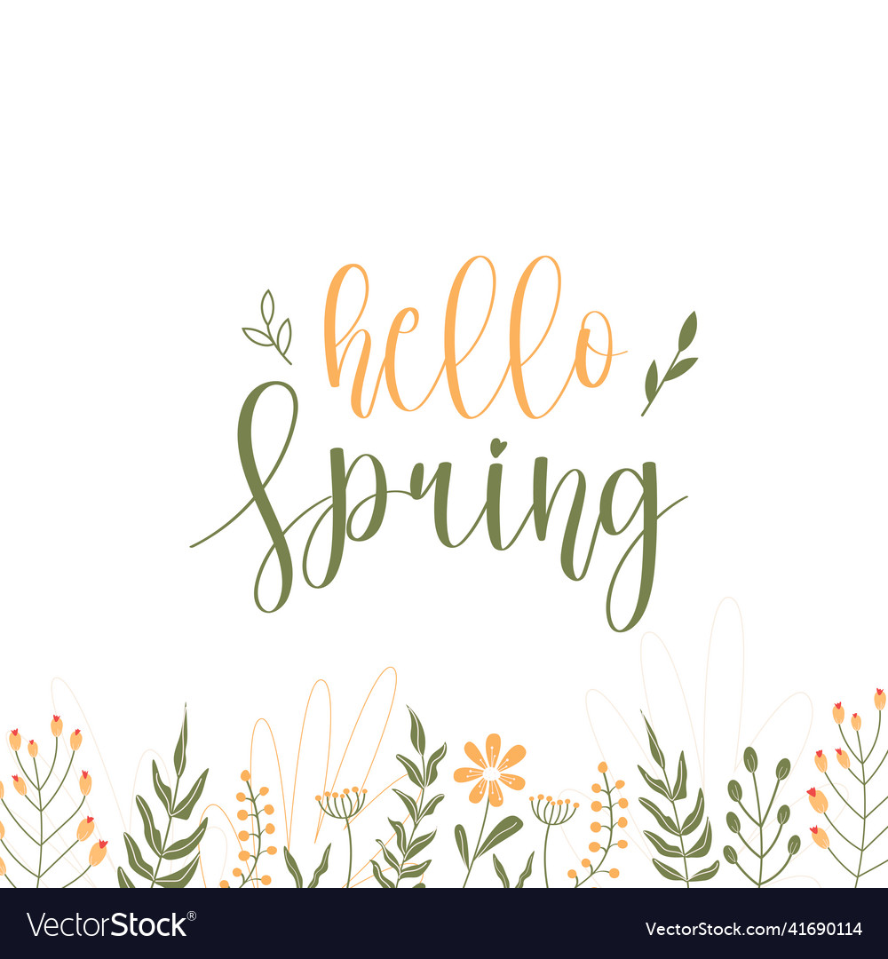 Hello spring lettering banner Royalty Free Vector Image