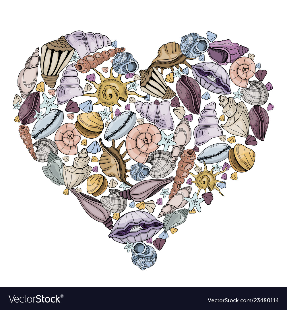 Seashells set Royalty Free Vector Image - VectorStock
