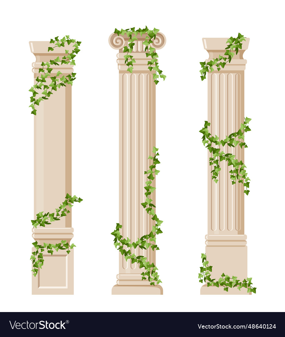 Ivy covered columns set Royalty Free Vector Image Ivy covered columns set Royalty Free Vector Image