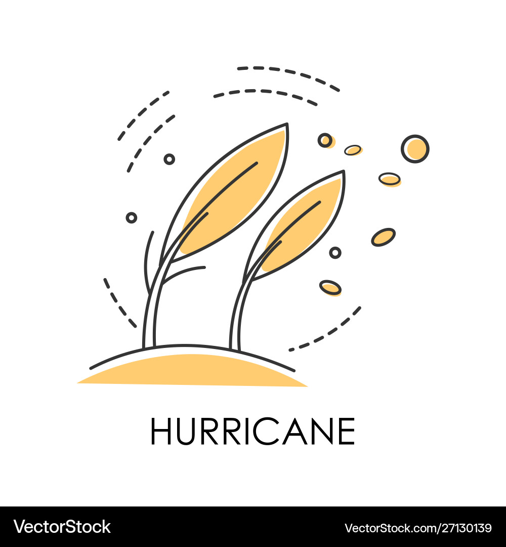 Natural disaster hurricane on coast wind storm Vector Image