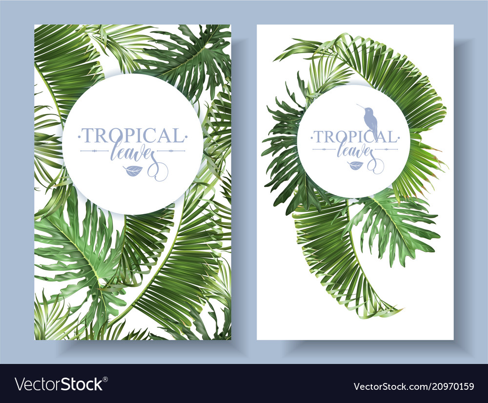 Tropical leaf banners Royalty Free Vector Image