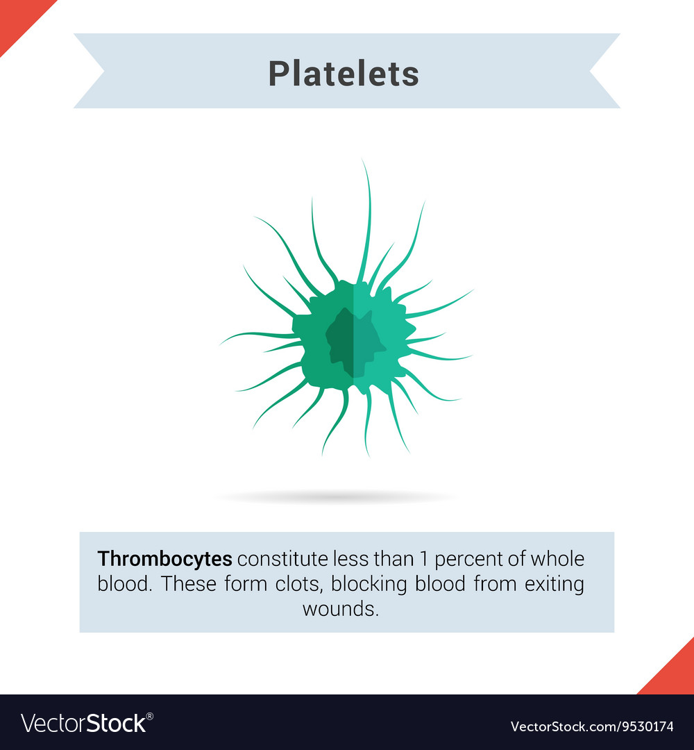 Flat icon platelets cell Royalty Free Vector Image