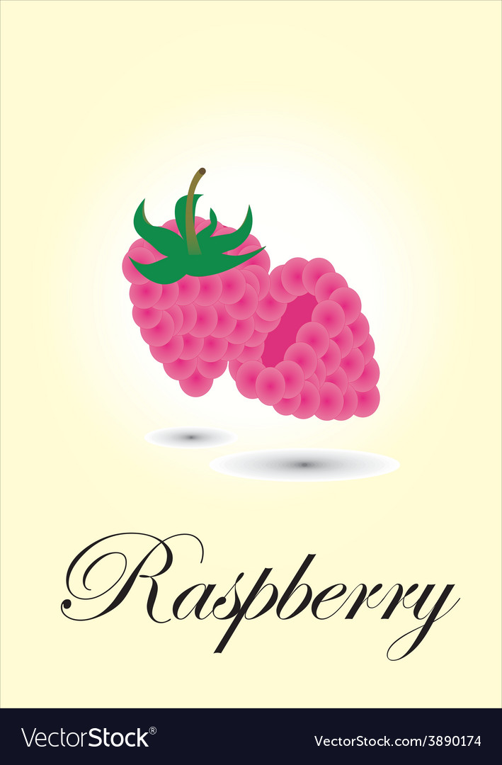 Raspberry Royalty Free Vector Image - VectorStock