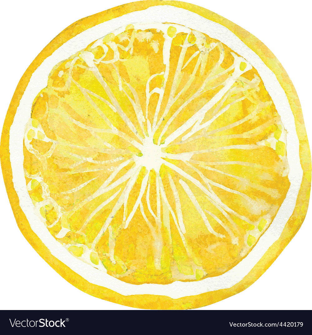 Lemon Royalty Free Vector Image - VectorStock