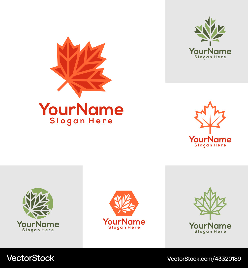 Set of maple leaf logo design template Royalty Free Vector
