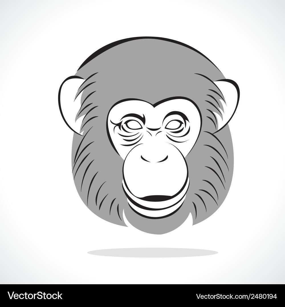 Monkey Royalty Free Vector Image - VectorStock