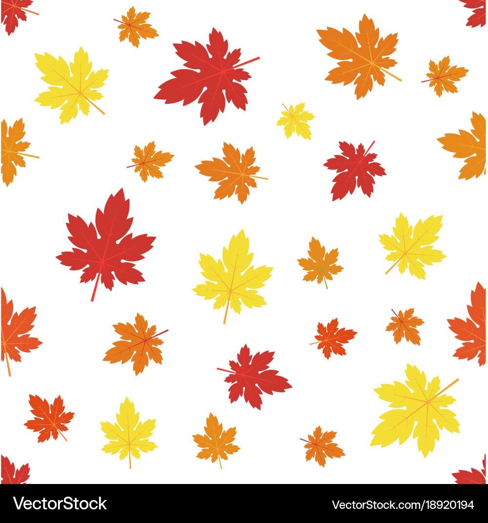 Pattern with maples leaves Royalty Free Vector Image