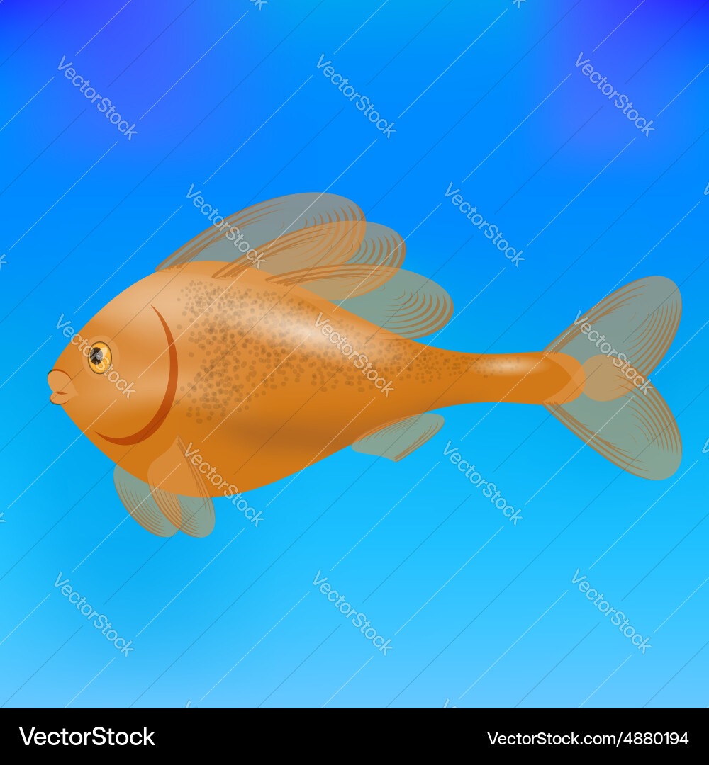 Sea fish Royalty Free Vector Image - VectorStock