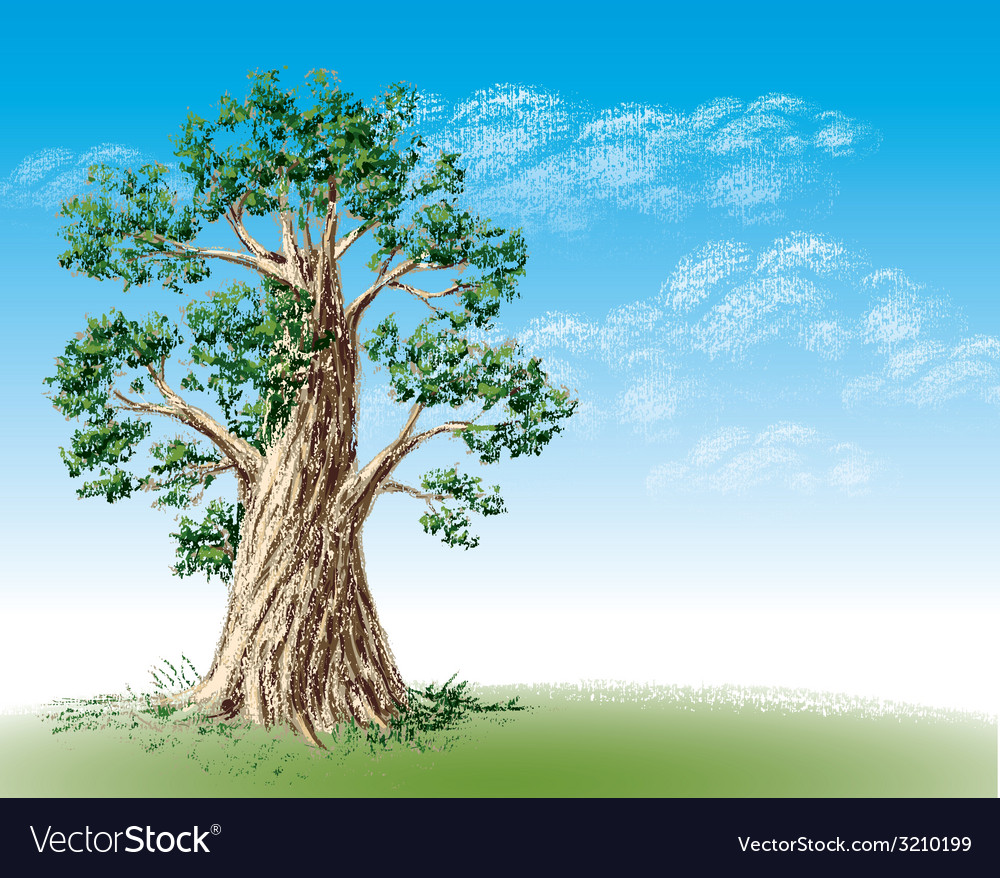 Old tree Royalty Free Vector Image - VectorStock
