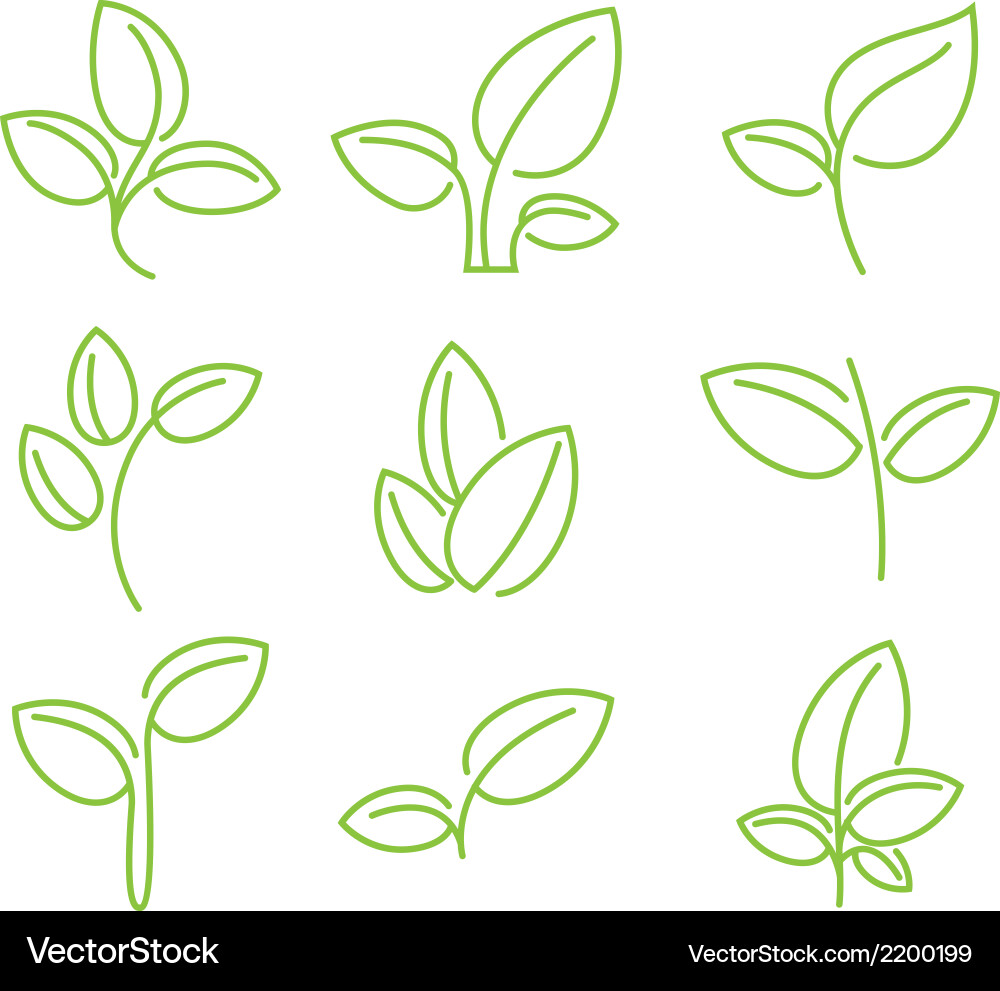 Set green leaves design elements Royalty Free Vector Image
