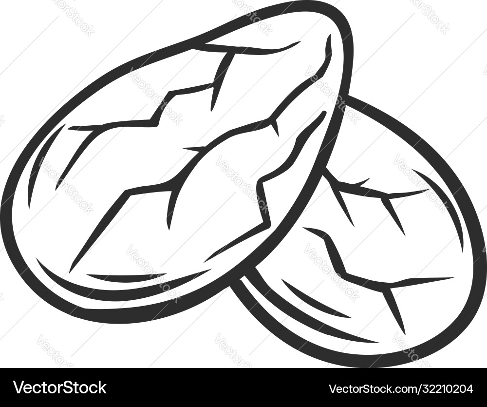 Cocoa beans grain outline icon Royalty Free Vector Image