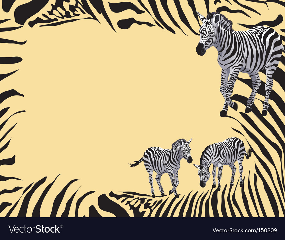 Zebra Royalty Free Vector Image - VectorStock