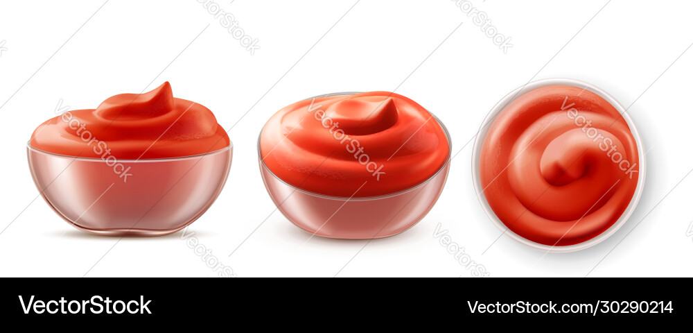 Ketchup in bowl top and side view isolated set Vector Image