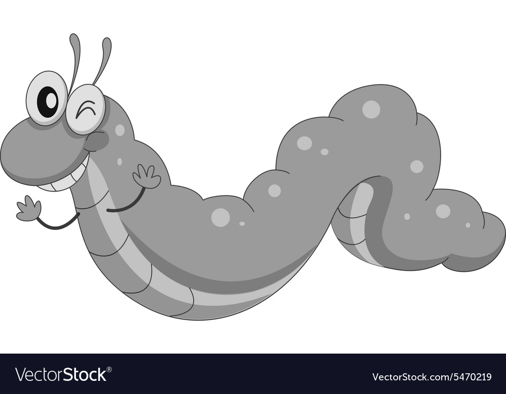 Insect Royalty Free Vector Image - VectorStock Insect Royalty Free Vector Image - VectorStock
