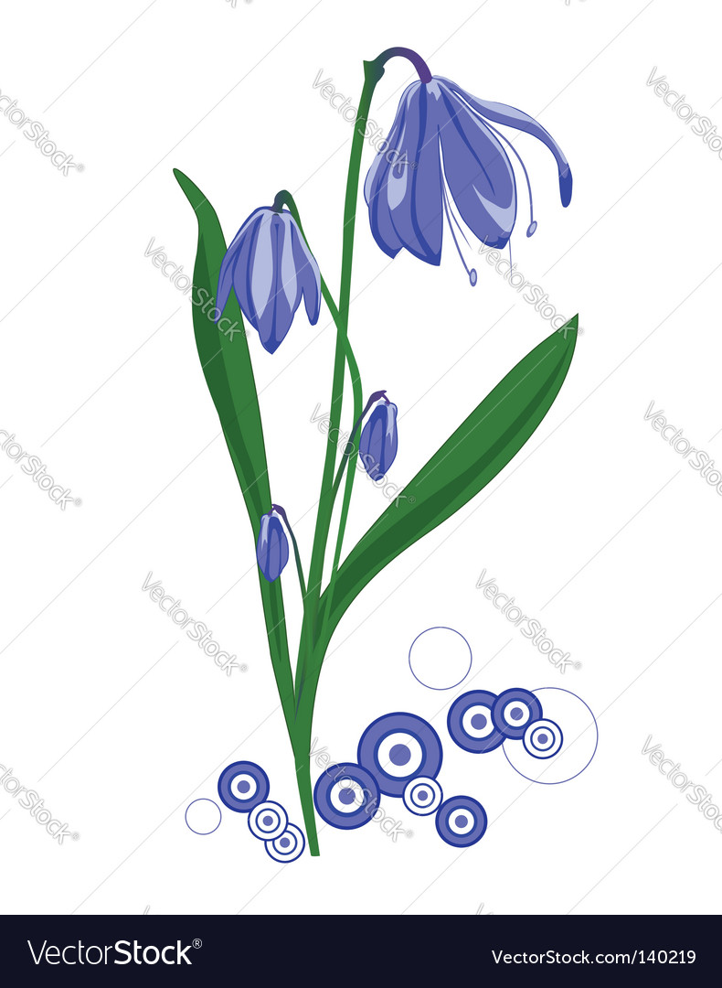 Spring flower Royalty Free Vector Image - VectorStock