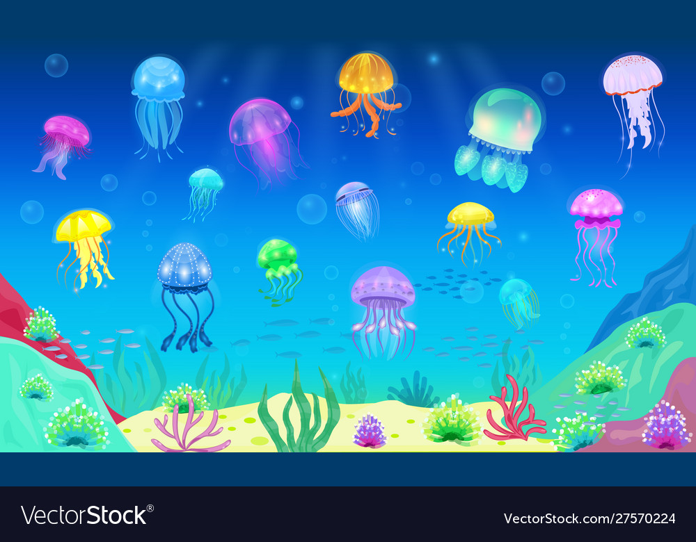 Jellyfish ocean jelly-fish or sea-jelly Royalty Free Vector