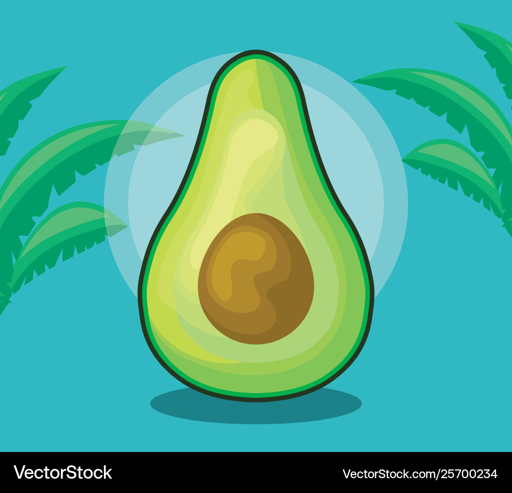 Fresh avocado with leafs nature Royalty Free Vector Image