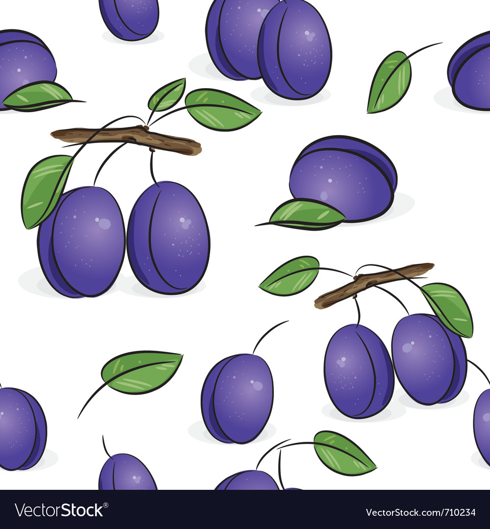 Violet plums Royalty Free Vector Image - VectorStock