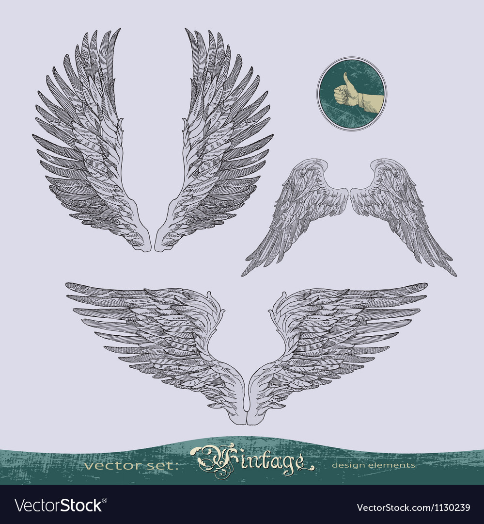 Wings set Royalty Free Vector Image - VectorStock