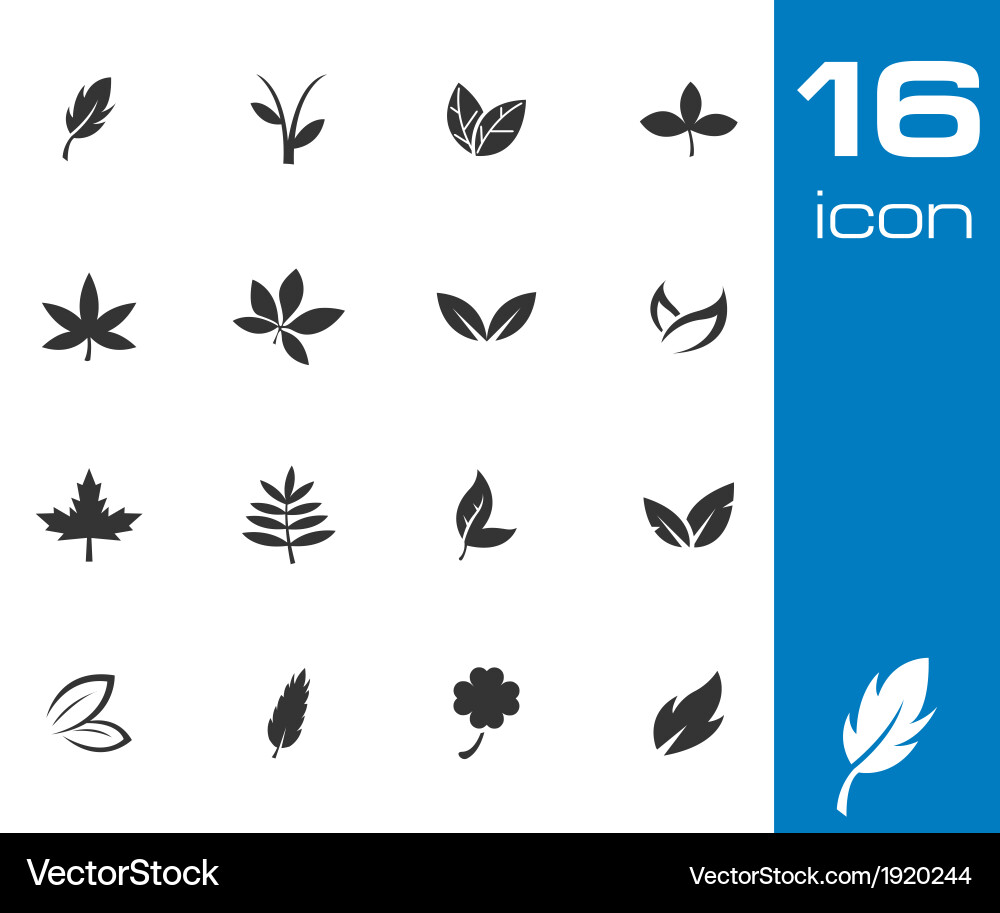 Black leaf icons set Royalty Free Vector Image
