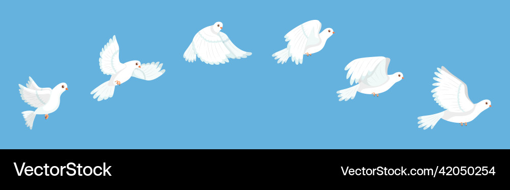 Flying bird animation white pigeon flapping wings Vector Image
