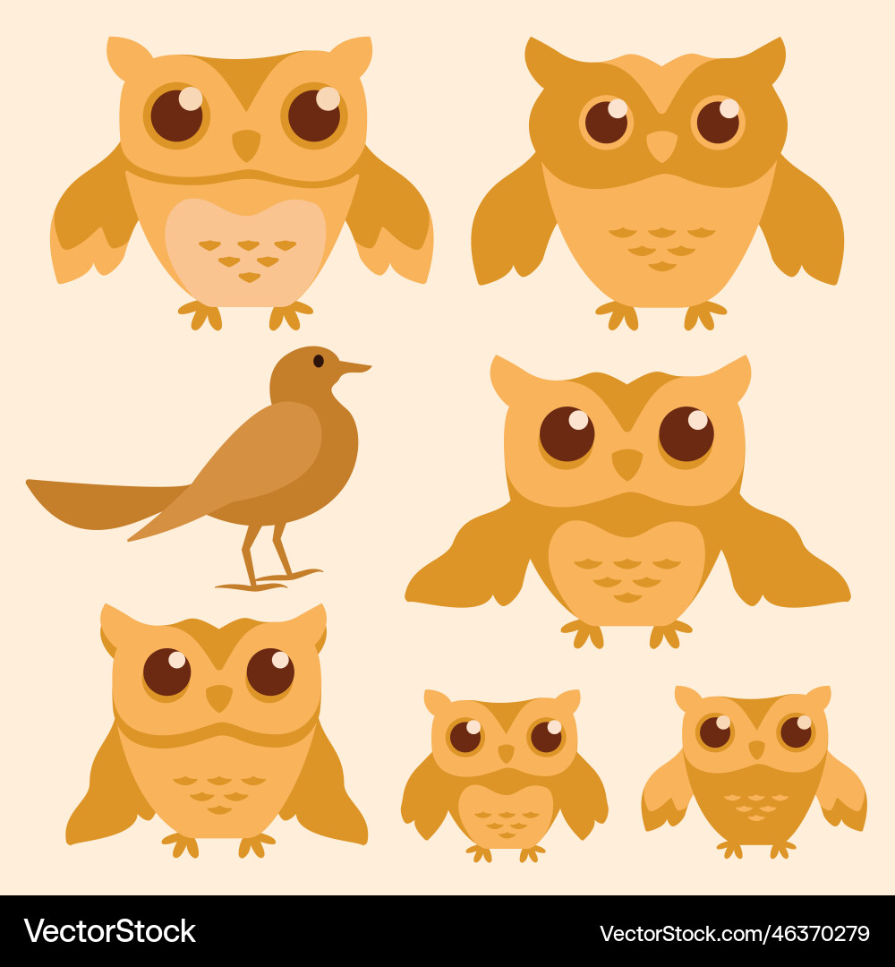 Bird with boho style collection Royalty Free Vector Image