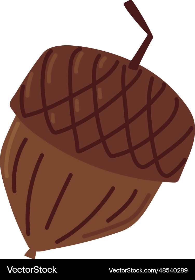 Acorn nut icon Royalty Free Vector Image - VectorStock