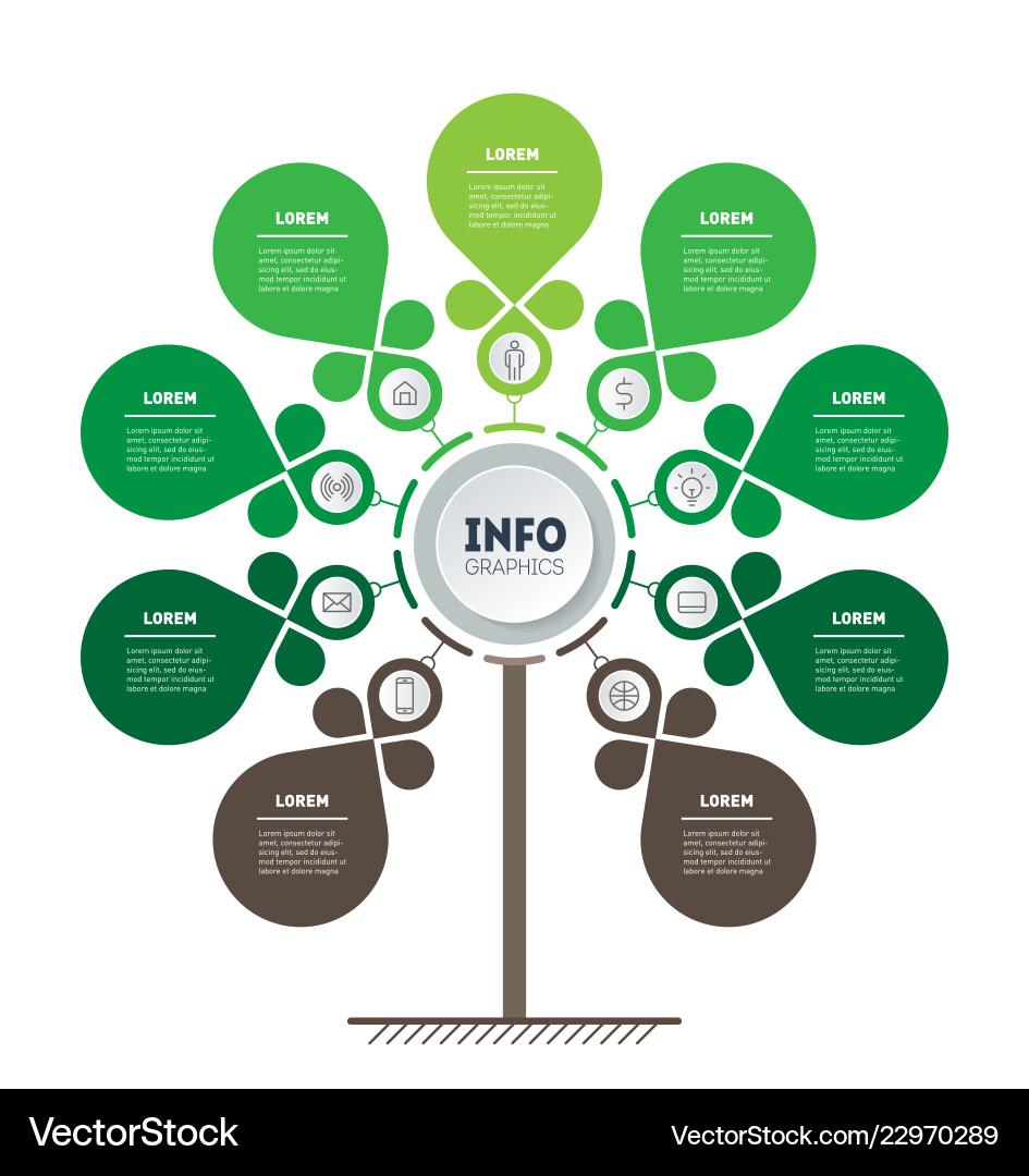 Ecology infographics tree development and Vector Image