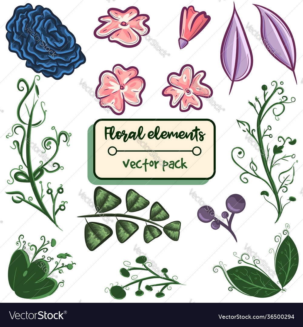 Element pack with floral objects Royalty Free Vector Image