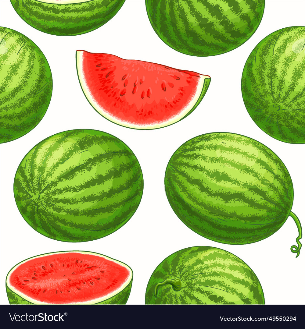 Watermelon pattern Royalty Free Vector Image - VectorStock