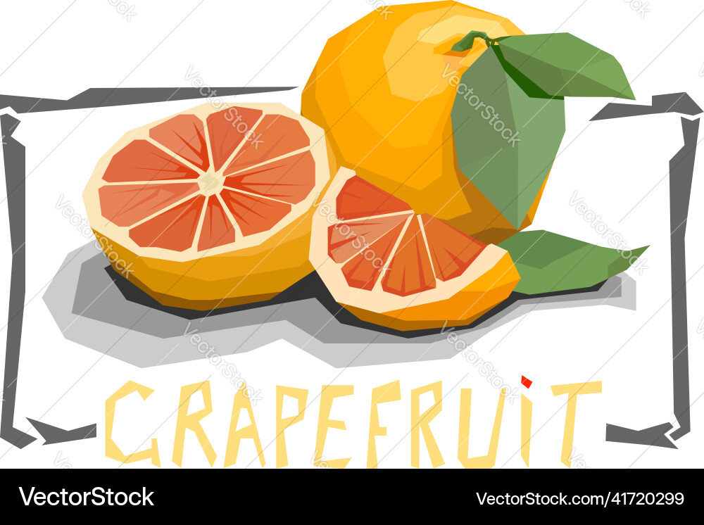 Simple of grapefruit Royalty Free Vector Image