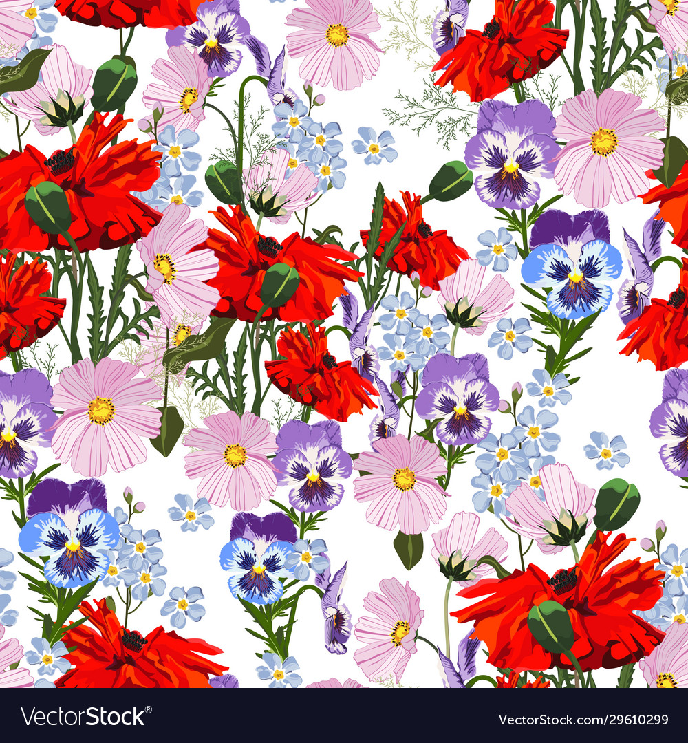 Summer spring wild flowers pattern Royalty Free Vector Image