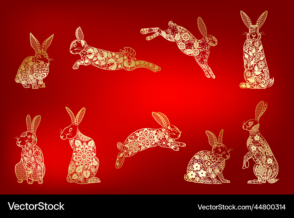 Chinese rabbit set Royalty Free Vector Image - VectorStock