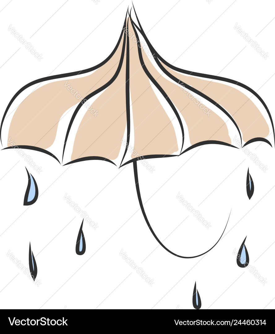 Umbrella and raindrops color on white background Vector Image