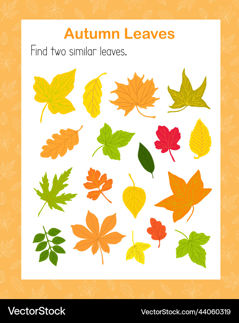 Find two similar tree leaves educational activity Vector Image