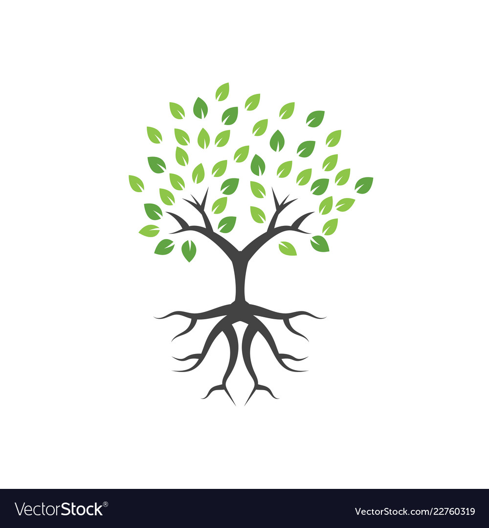 Tree graphic design template isolated Royalty Free Vector