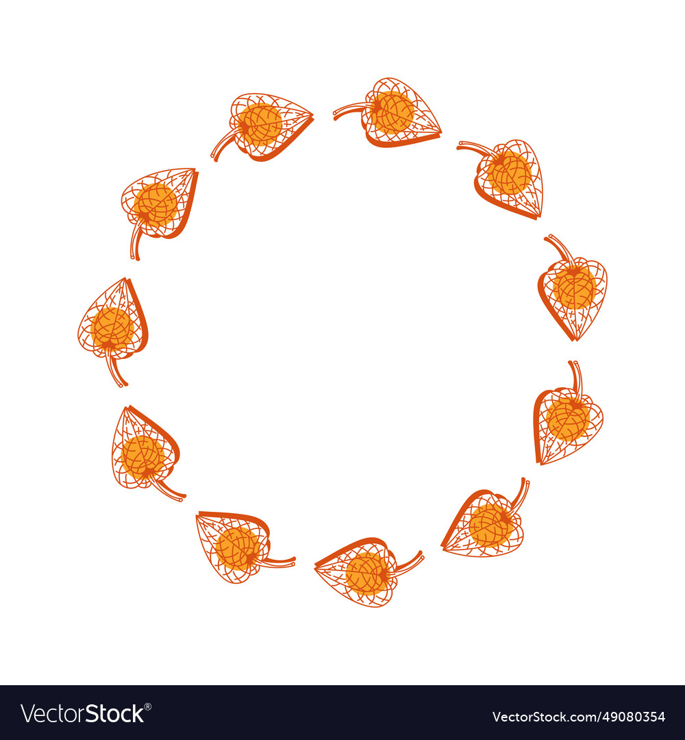 Physalis frame Royalty Free Vector Image - VectorStock
