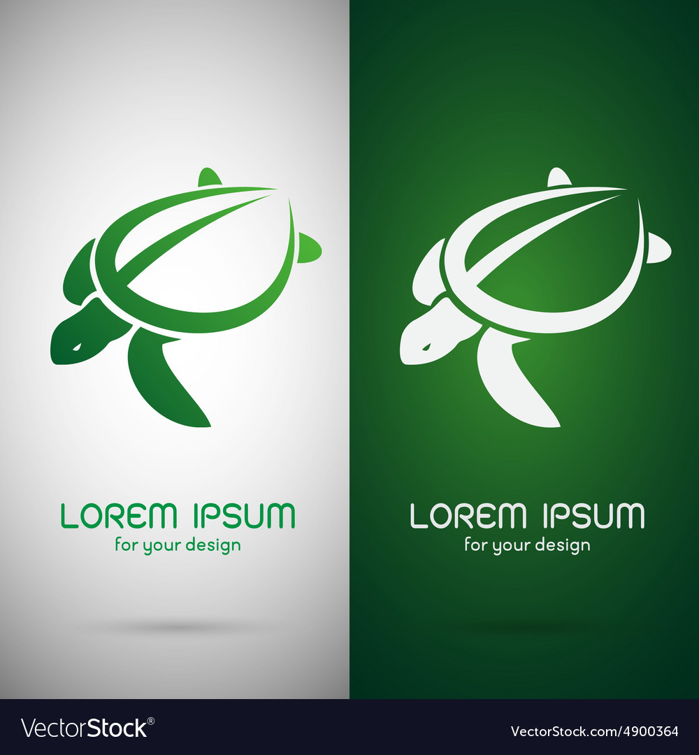 Turtle Royalty Free Vector Image - VectorStock